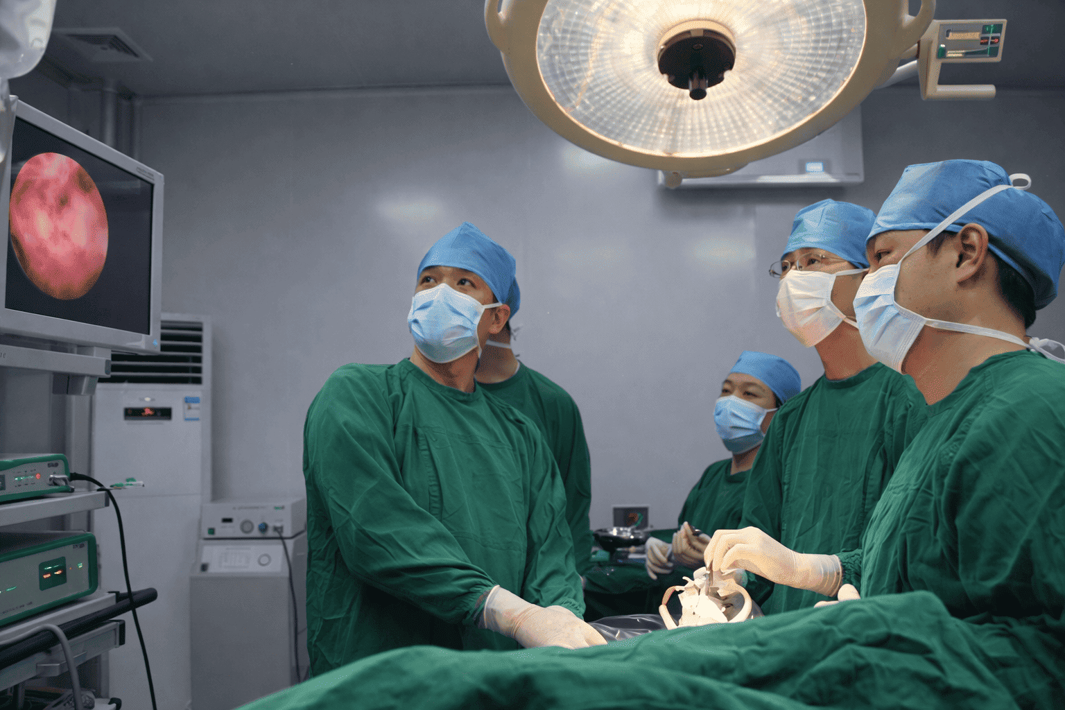 Removal of gallstones from the gallbladder while preserving the organ